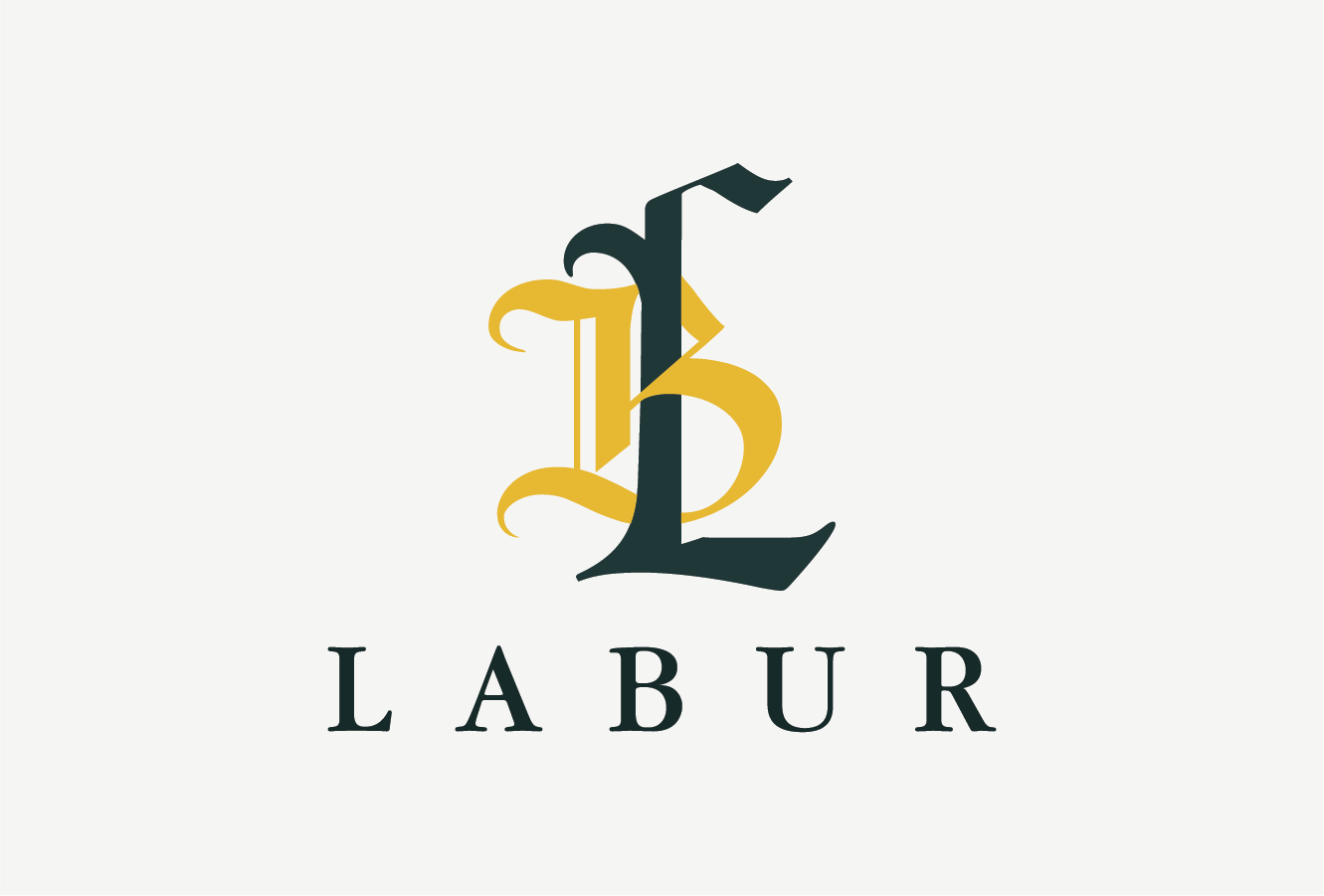 Meet the Team - LABUR